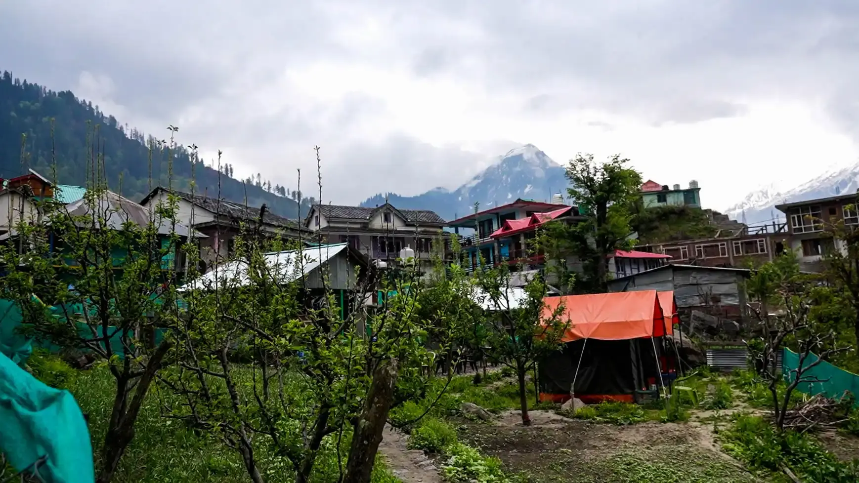 Tosh Himachal Pradesh Travel Guide – Best Time, Things to Do & Stay